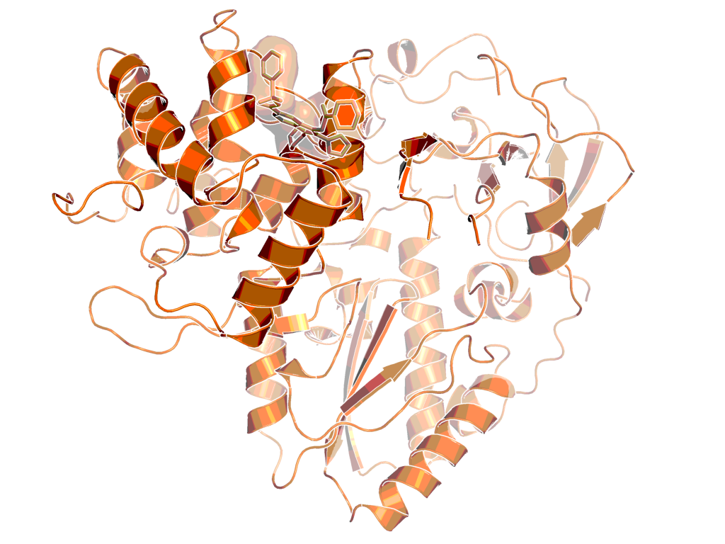 HCV NS5B | BI 207127 | opnMe | Boehringer Ingelheim