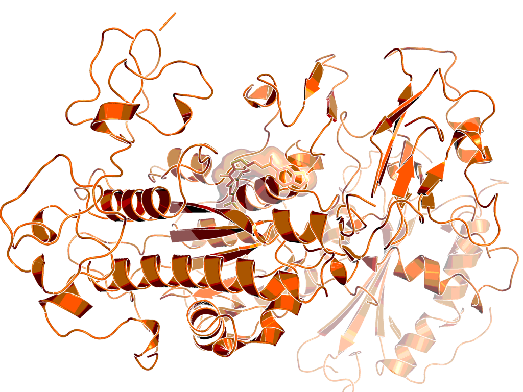 ATX (Autotaxin) inhibitor | BI-2545 | opnMe | Boehringer Ingelheim