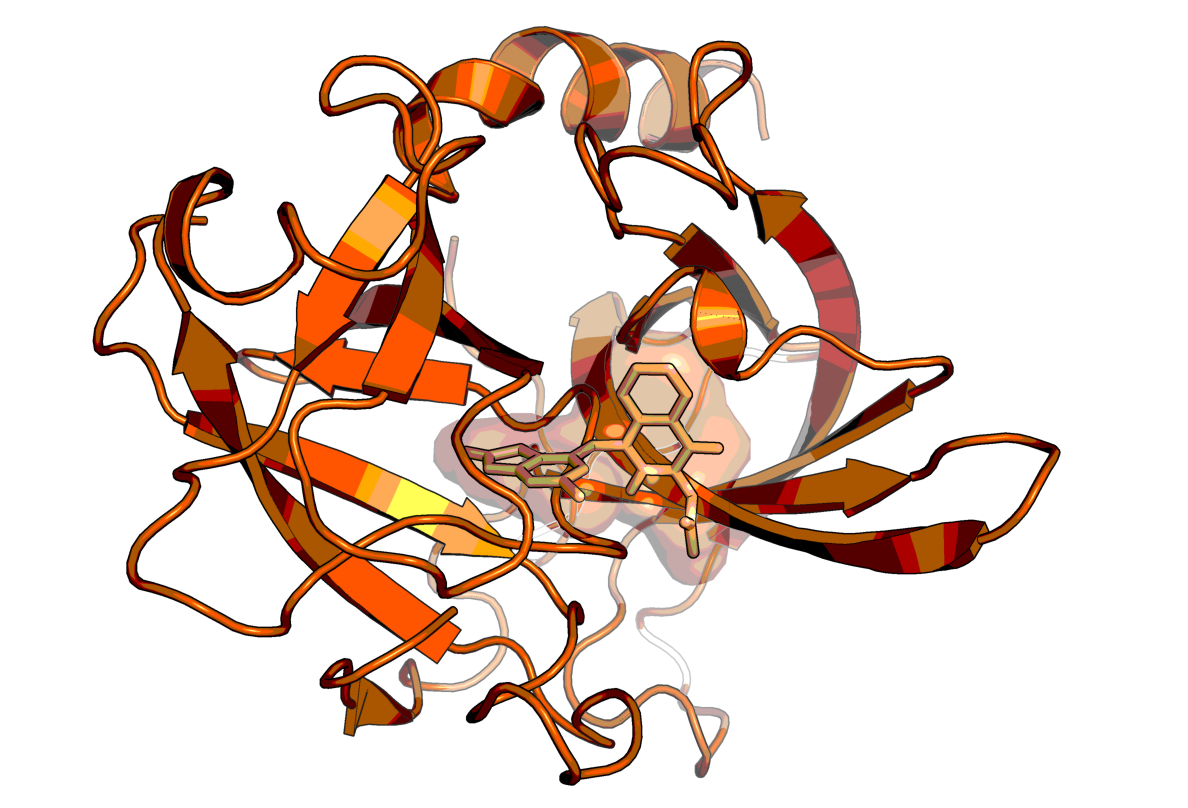 Chymase inhibitor | BI-1942 | opnMe | Boehringer Ingelheim