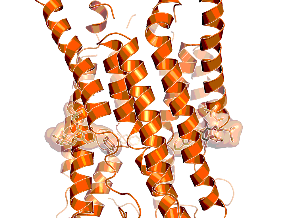 FLAP inhibitor | BI 665915 | opnMe | Boehringer Ingelheim