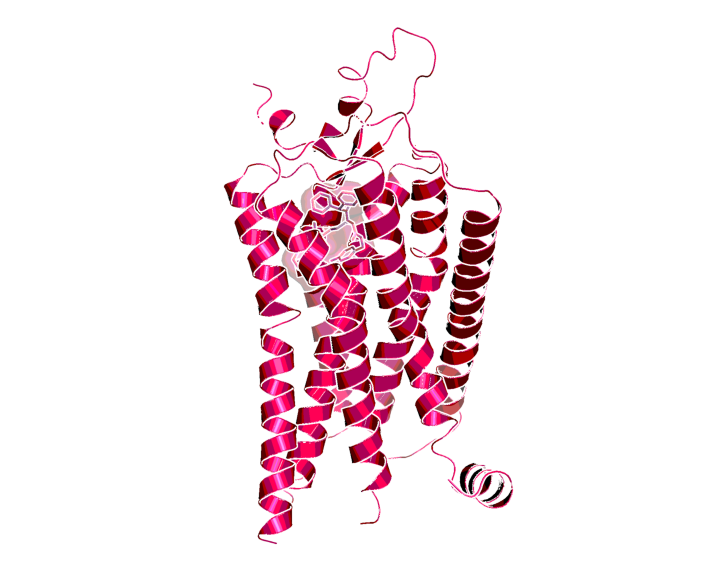 NPY1 Receptor Antagonist | opnMe | Boehringer Ingelheim