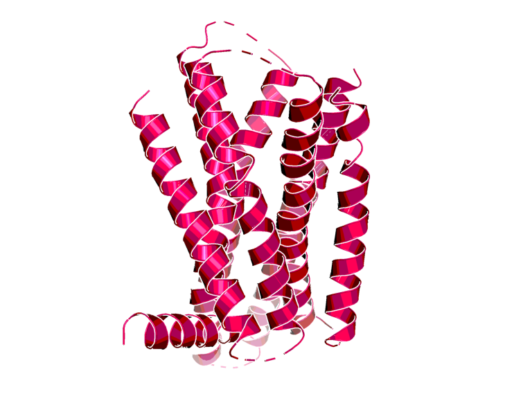 NPY2R antagonist | BIIE0246 | opnMe | Boehringer Ingelheim