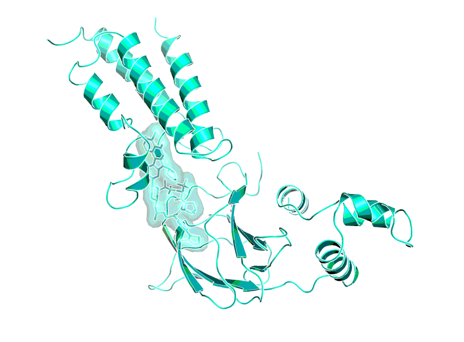 SMARCA2 PROTAC | ACBl2 | opnMe | Boehringer Ingelheim