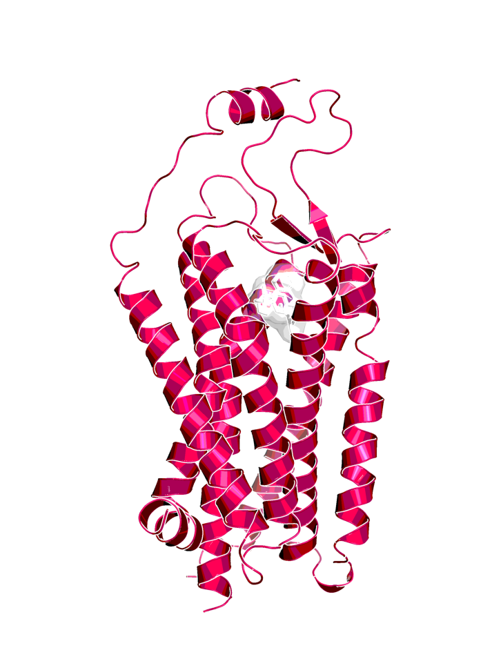 OX1 antagonist | BI-5121 | opnMe | Boehringer Ingelheim