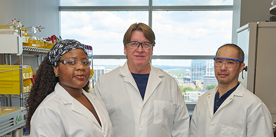 SOS1::KRAS inhibitor | BI-3406 | opnMe | Boehringer Ingelheim