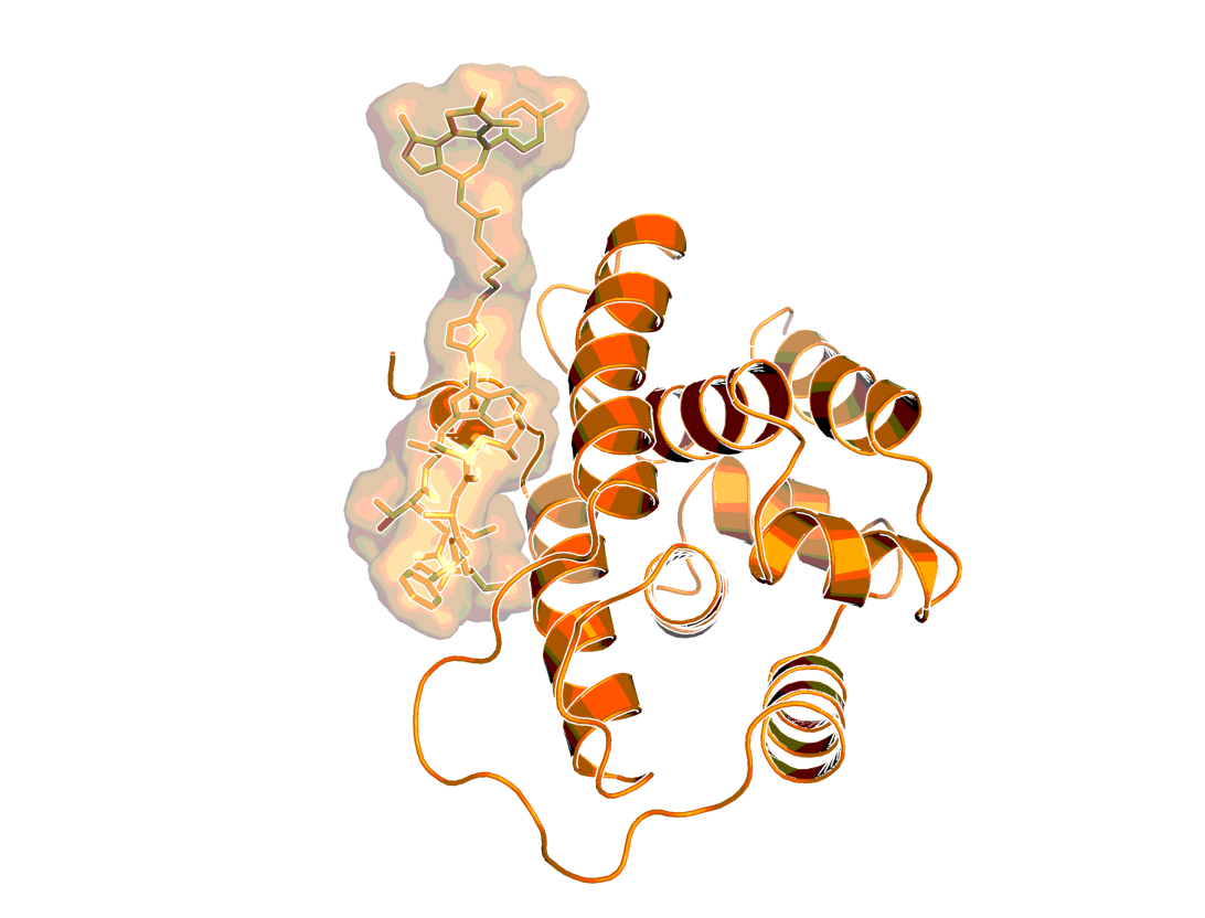 Bacterial PROTAC | BI-8255 | opnMe | Boehringer Ingelheim