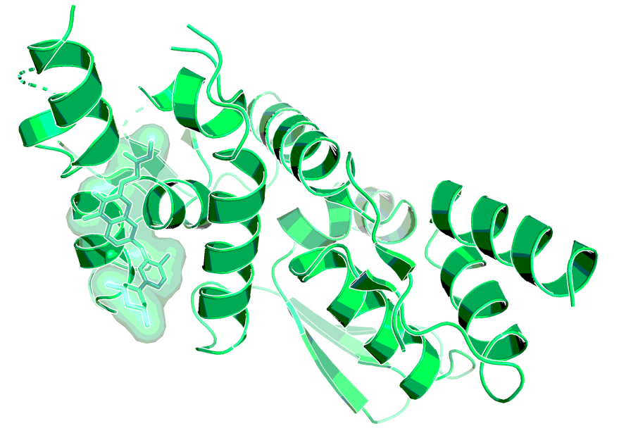 BCL6 degrader | BI-3802 | opnMe | Boehringer Ingelheim