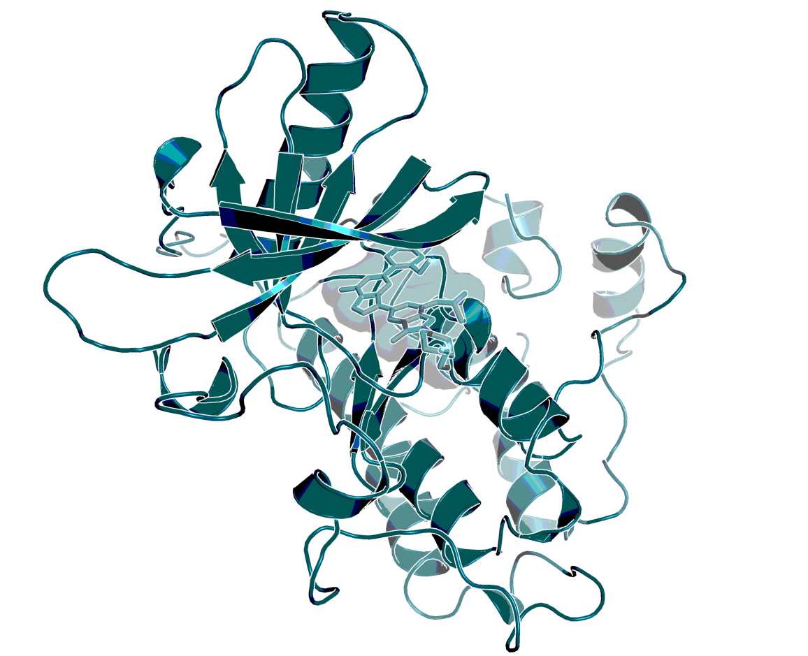 EGFR inhibitor BI-8128 | opnMe | Boehringer Ingelheim