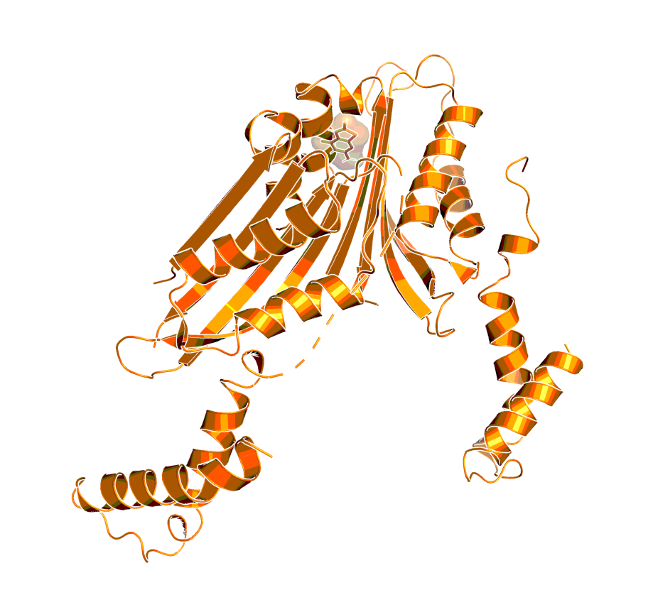 GCH1 inhibitor | AXSP0056 | opnMe | Boehringer Ingelheim