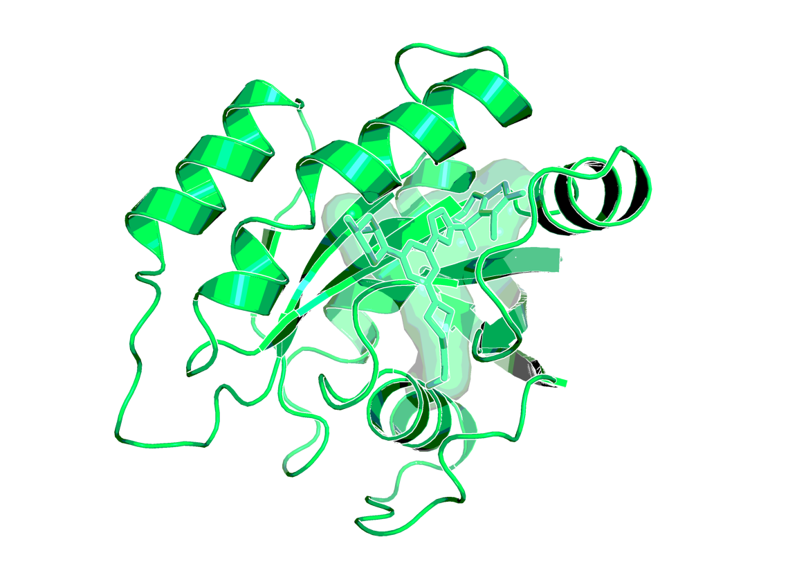 KRAS G12C inhibitor | BI-0474 | opnMe | Boehringer Ingelheim