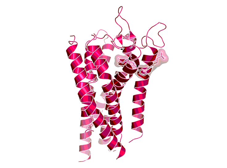 GPR40 agonist | BI-2081 | opnMe | Boehringer Ingelheim