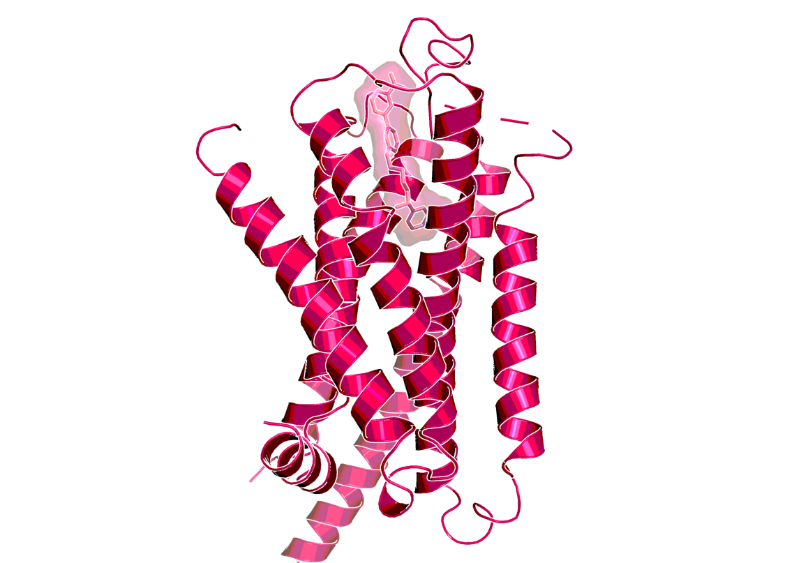 Beta-3 adrenergic receptor agonist | BI-2800 | opnMe | Boehringer Ingelheim
