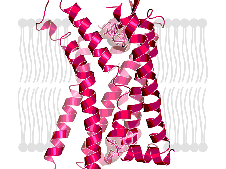 CCR10 antagonist | BI-6901 | opnMe | Boehringer Ingelheim