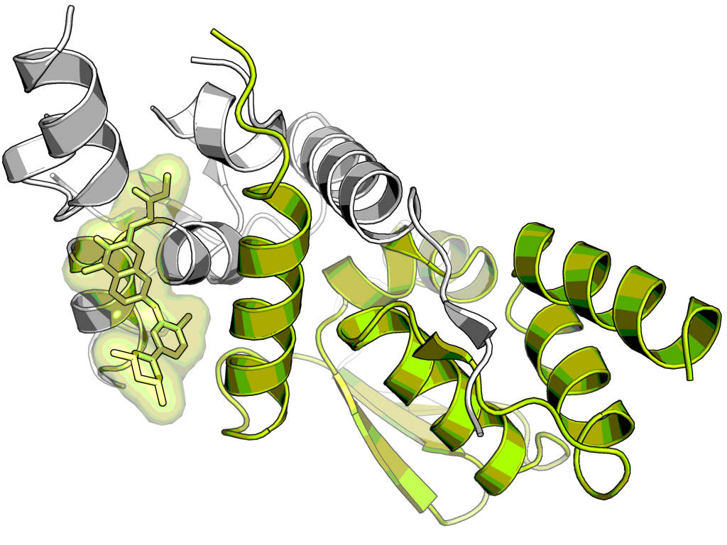 BCL6 degrader | BI-3802 | opnMe | Boehringer Ingelheim
