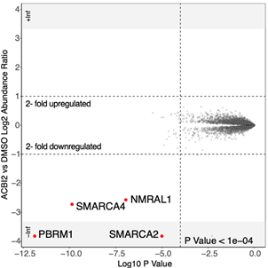 SMARCA2 PROTAC | ACBl2 | opnMe | Boehringer Ingelheim