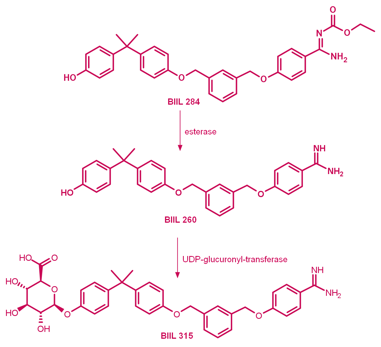 LTB4 receptor antagonist | BIIL315 | opnMe | Boehringer Ingelheim
