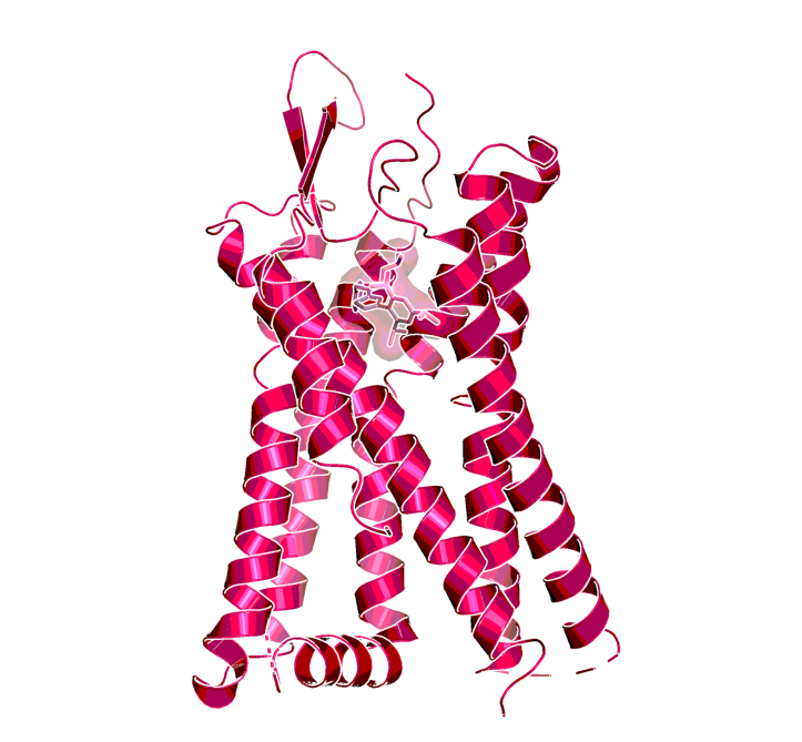 Apafant | PAFR Antagonist | opnMe | Boehringer Ingelheim