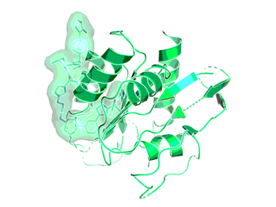 pan-KRAS PROTAC | ACBI3 | opnMe | Boehringer Ingelheim