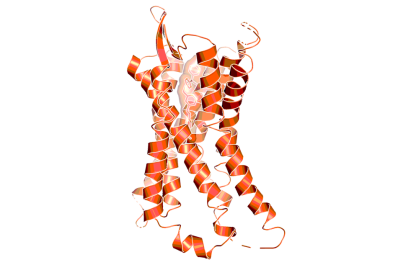 LTB4 receptor antagonist | BIIL315 | opnMe | Boehringer Ingelheim
