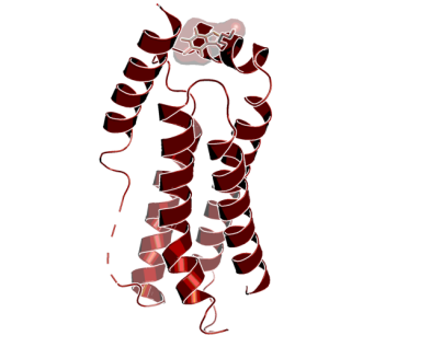 MLKL inhibitor | BI-8925 | opnMe | Boehringer Ingelheim